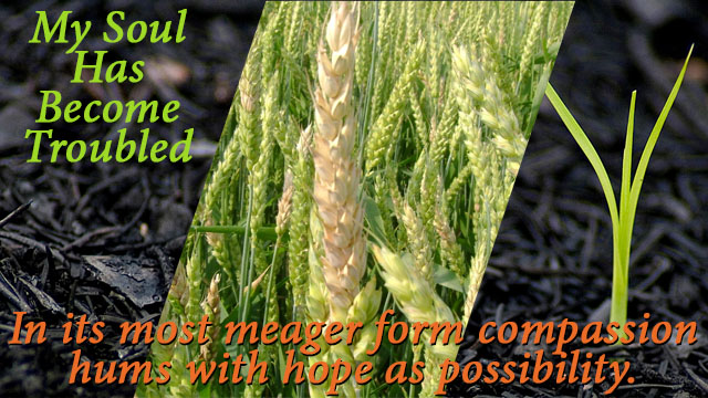 My Soul Has Become Troubled | Thoughts of God