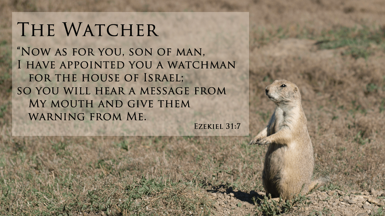 What Is The Biblical Meaning Of A Watcher at Hayley Pierce blog