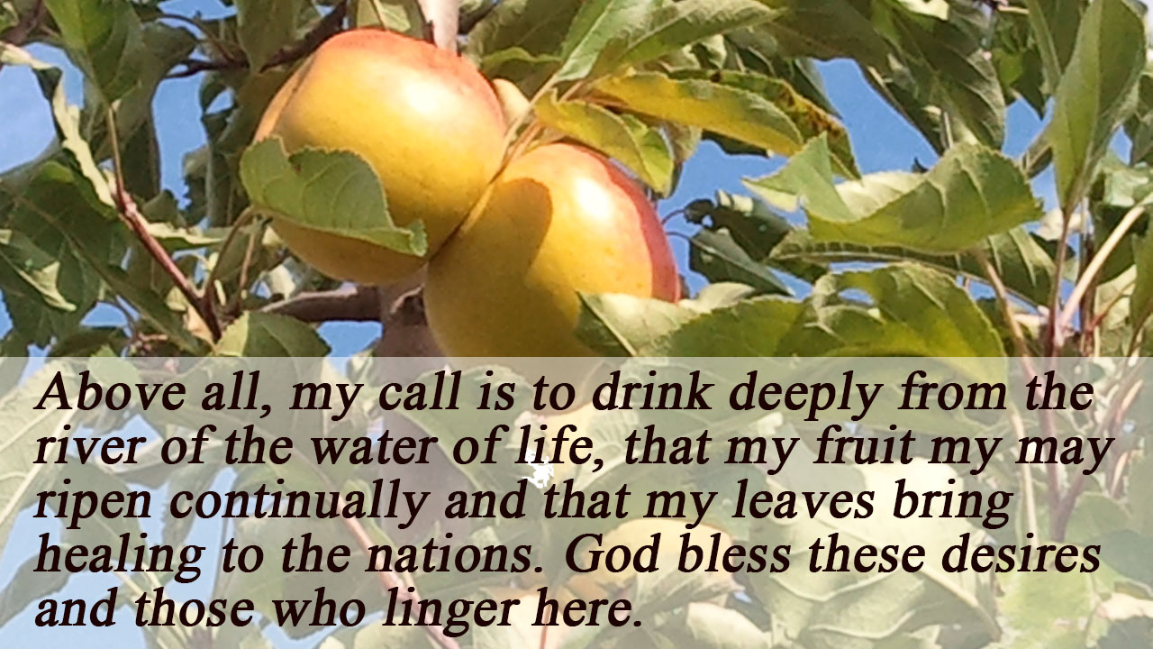 Fruit And Healing Thoughts Of God